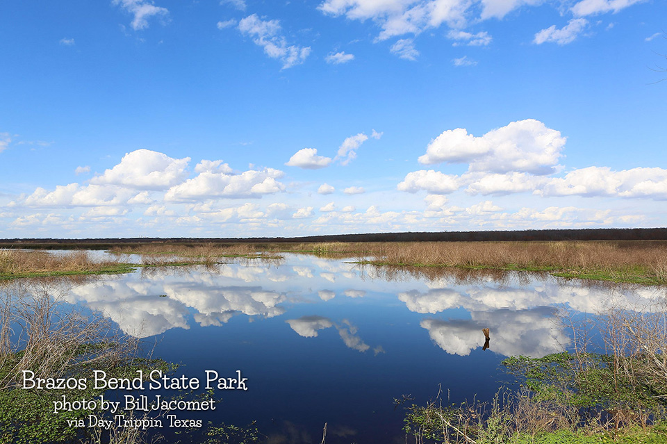 Brazos Bend State Park – Day Trippin' Texas